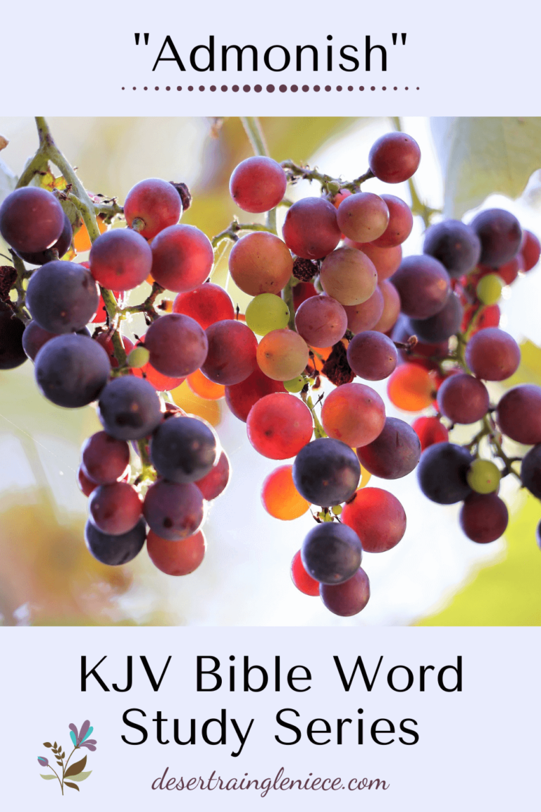 Admonish: KJV Bible Word Study Series – Desert Rain