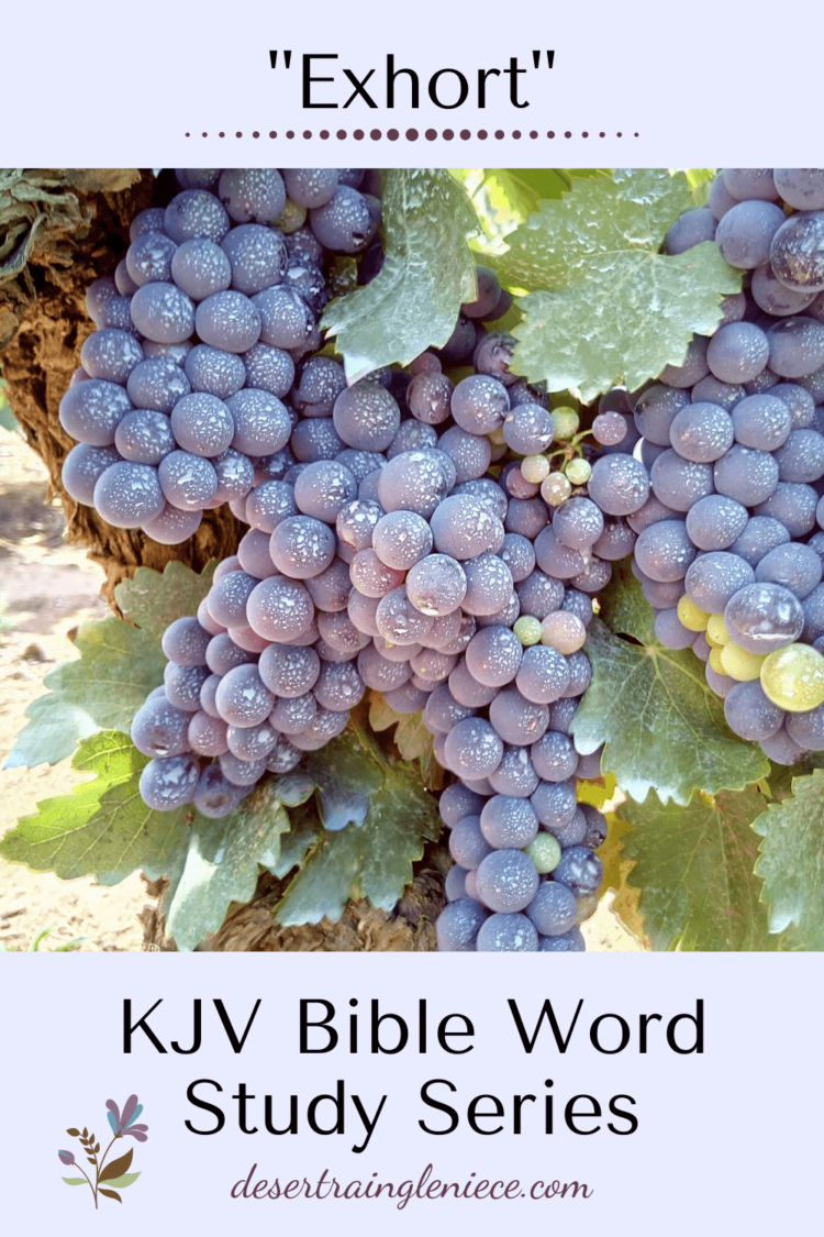 Exhort: KJV Bible Word Study Series – KJV Bible Studies – Desert Rain