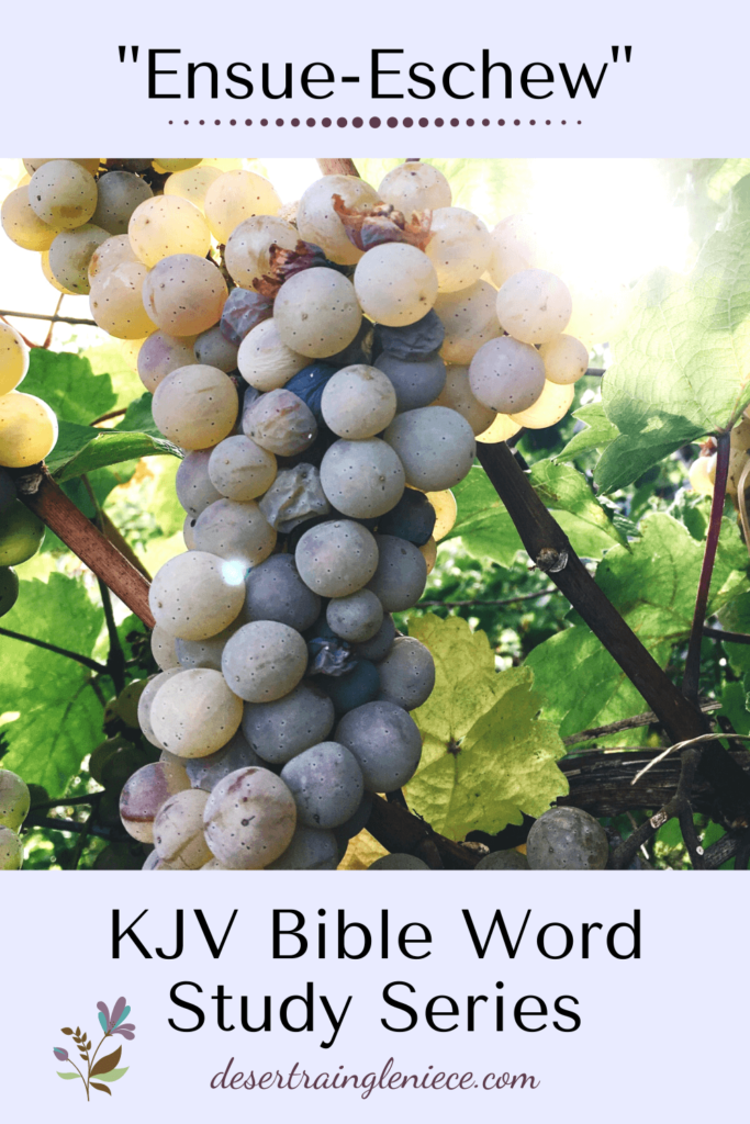 Ensue-Eschew: KJV Bible Word Study Series – Desert Rain